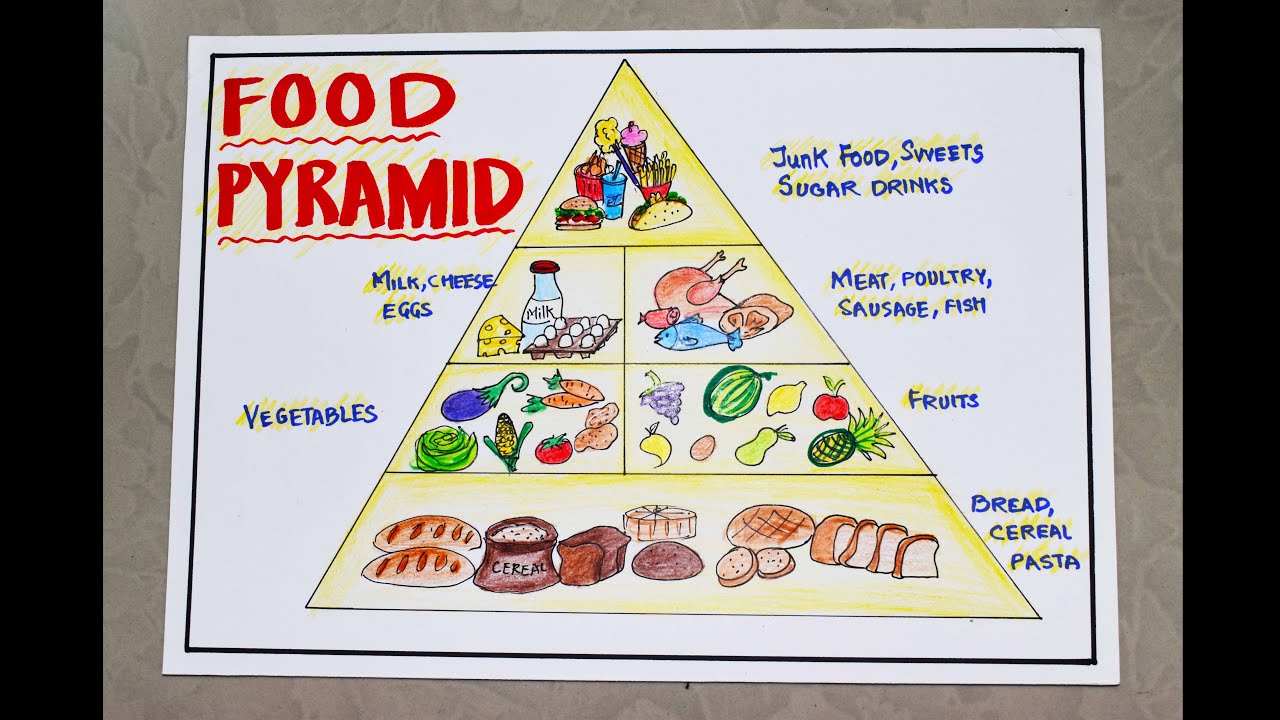 Healthy Food Pyramid Drawing For Kids Science School Project Art Chart