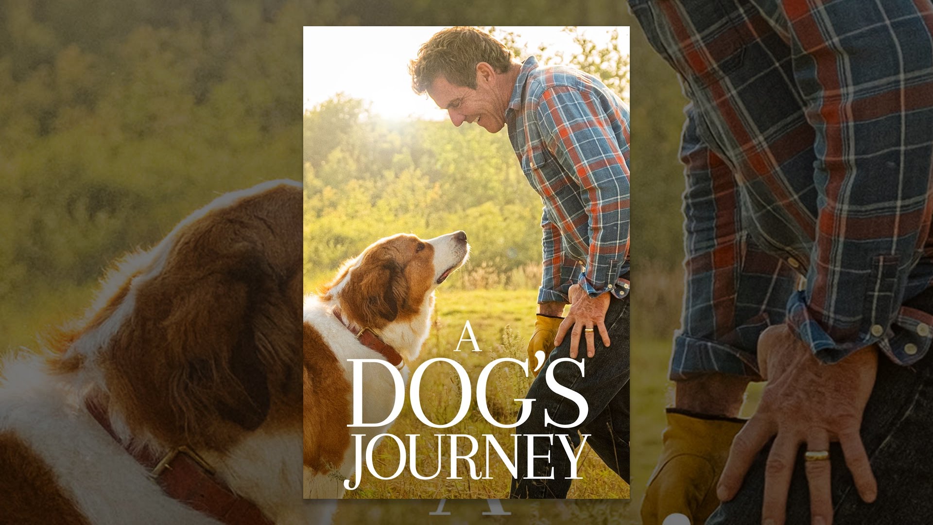 A Dog's Journey - UCOOK: Healthy Ideas
